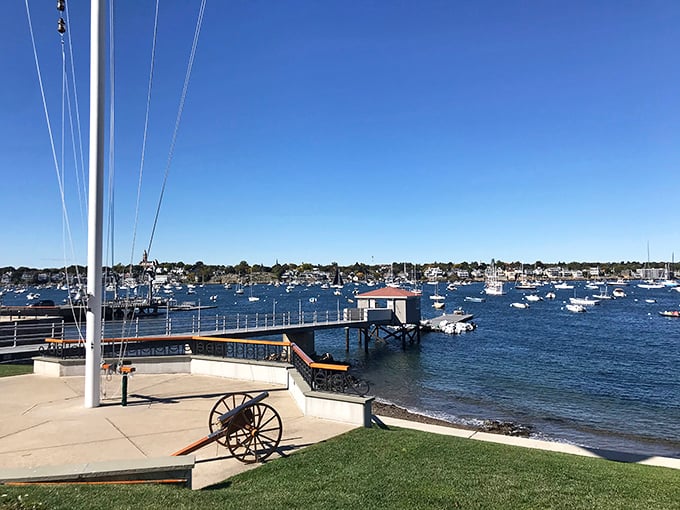 The harbor doesn't just host boats—it showcases a floating museum of maritime craftsmanship spanning centuries of seafaring tradition.