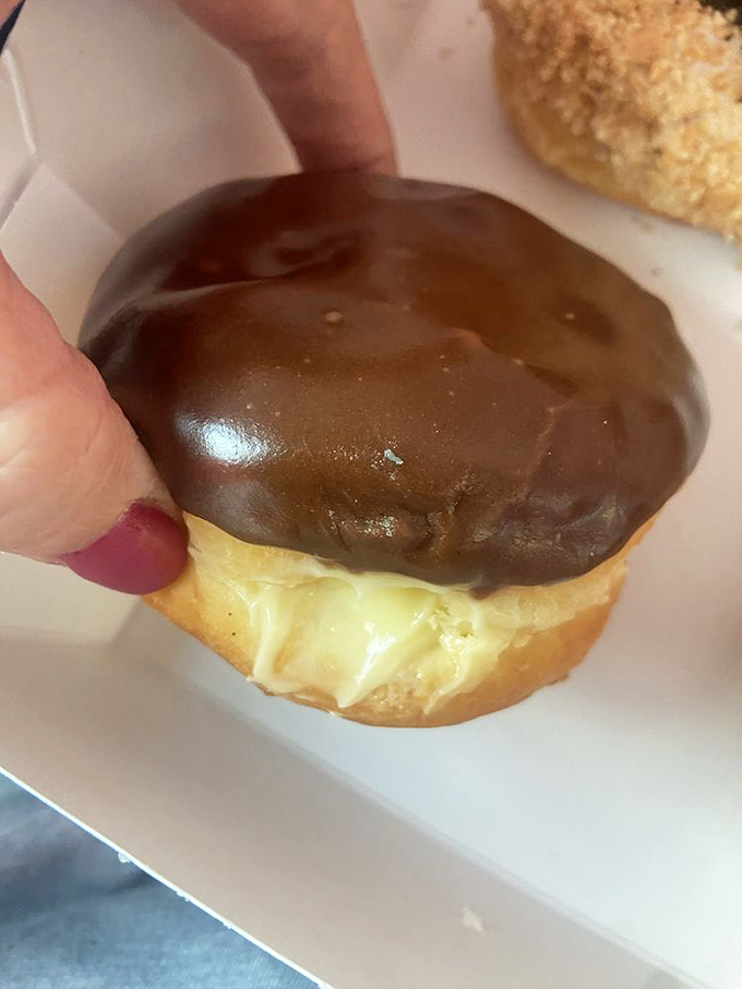 The Boston cream reveals its custard soul beneath a glossy chocolate hat. That moment when you bite in and hit filling&mdash;pure textural bliss.