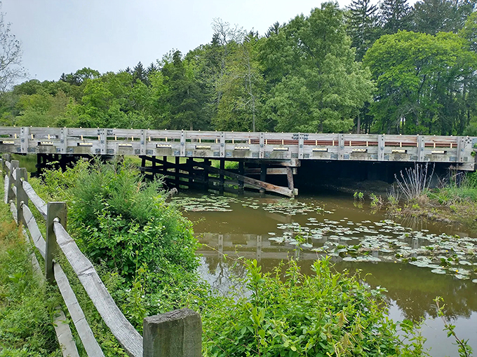 This unassuming bridge spans more than water&mdash;it connects a community where your dollar stretches further than that yoga instructor you've been meaning to visit.