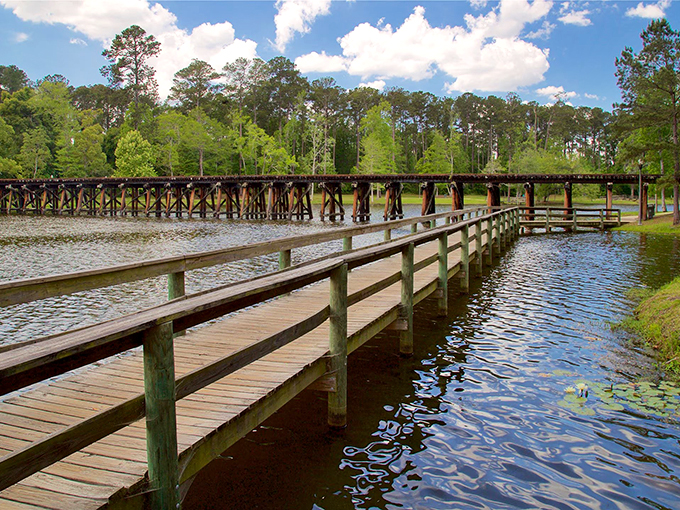 This wooden boardwalk stretches across peaceful waters like nature's catwalk, showcasing cypress trees and reflections instead of designer clothes.
