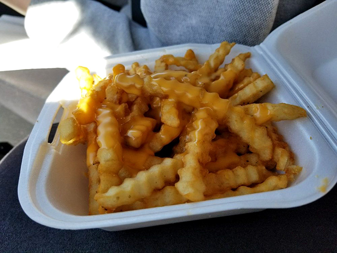 These cheese fries aren't playing games&mdash;they've committed fully to their gooey destiny and invite you to join their delicious rebellion.