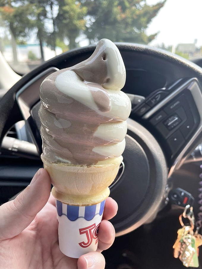 The chocolate-vanilla swirl cone: proof that sometimes life's greatest pleasures are the simplest ones, especially when enjoyed in your car. 