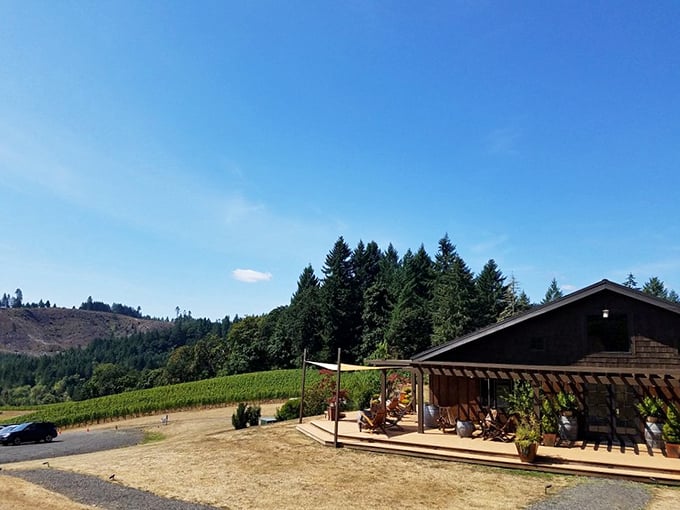 Coeur de Terre's rolling hills and serene pond create wine country perfection. Pinot noir tastes better when you can see where it was born.