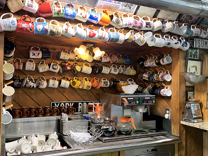 The mug collection—a colorful, hanging museum of morning memories where every cup tells a different coffee-fueled story.