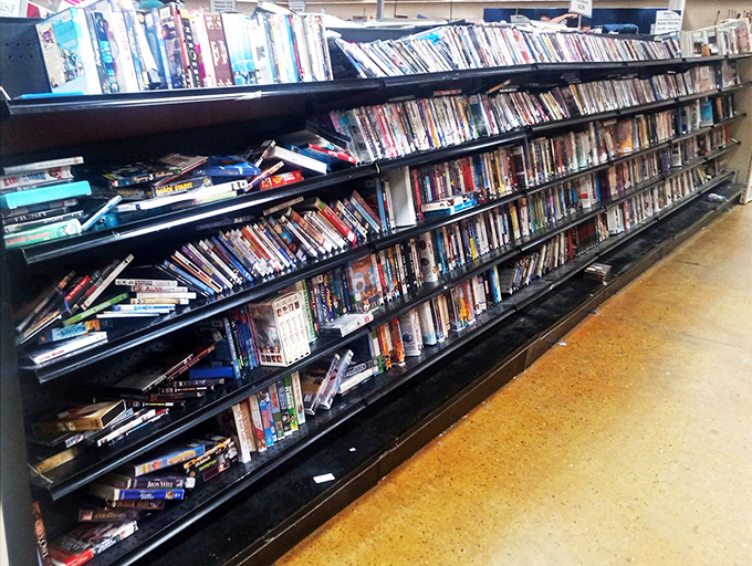 The DVD section stands as a physical timeline of entertainment history, from forgotten rom-coms to complete seasons of shows that streaming services have abandoned.