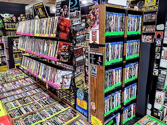 Movie night for the next decade! This DVD collection rivals the streaming services&mdash;minus the monthly subscription and spotty internet connection.