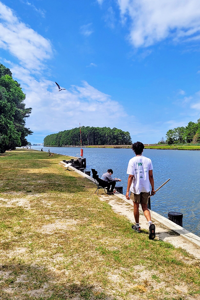 Where patience meets possibility—anglers line the shore hoping for the fish story that won't need embellishment at dinner.
