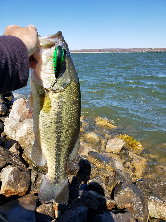 "Just another day at the office," said every lucky angler who's ever pulled a bass like this from Wilson's pristine waters.