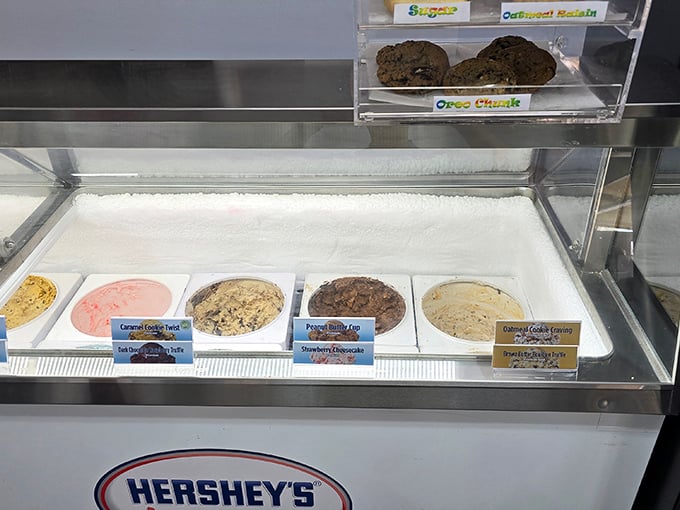 The display case—where dreams line up in neat rows, patiently waiting their turn to become your newest obsession. Choose wisely, my friend.