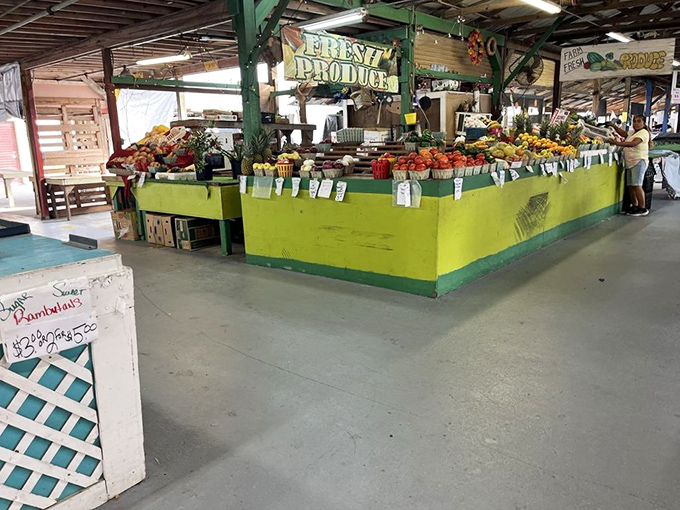 Electric bikes lined up like modern chariots. Who knew practical transportation could look this cool while saving gas money?