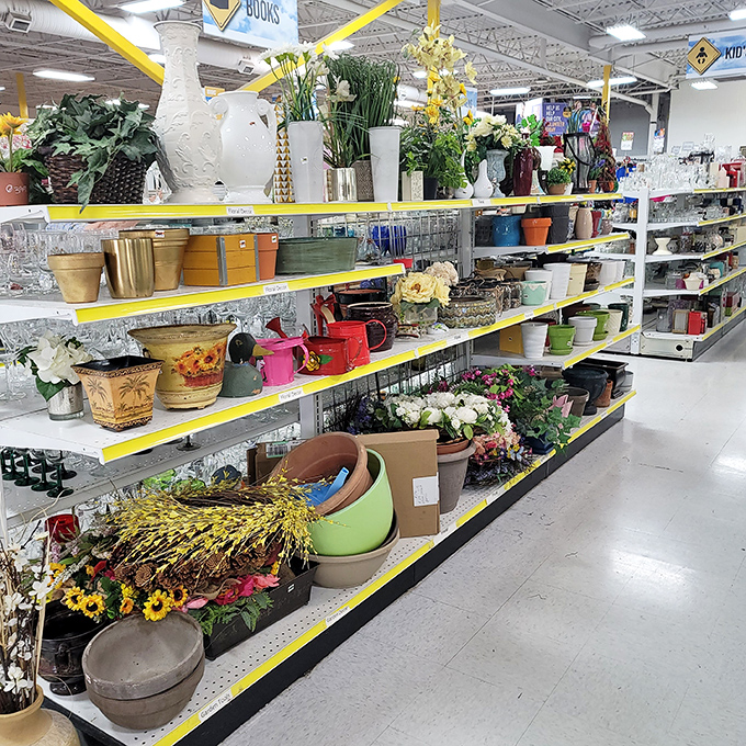 Garden treasures bloom year-round on these shelves. That ceramic frog planter has hopped through decades to find its forever lily pad.