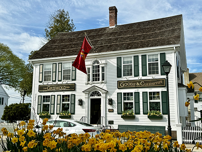 The Griswold Inn's "Goods & Curiosities" shop blooms with spring daffodils. This historic building has welcomed visitors since America was just getting started.
