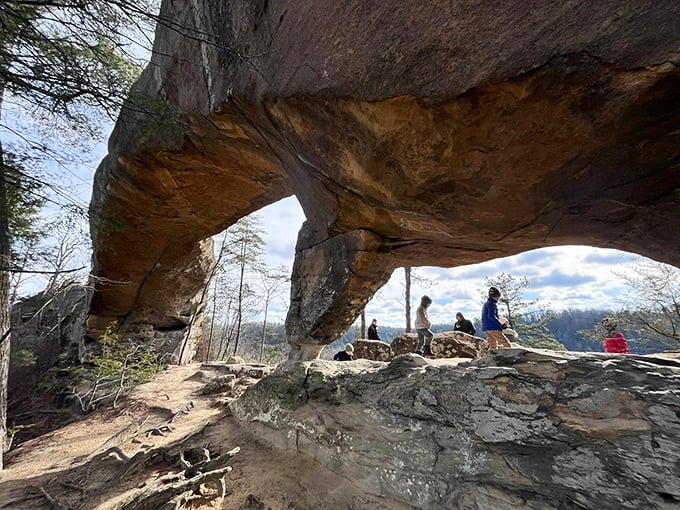 Family memories are made on paths like these, where conversations flow easier and discoveries are shared. Nature's playground requires no batteries or assembly.