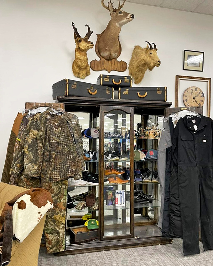 The hunting section might not be everyone's cup of tea, but the vintage suitcases above would make perfect storage for your collection of... well, anything but taxidermy.