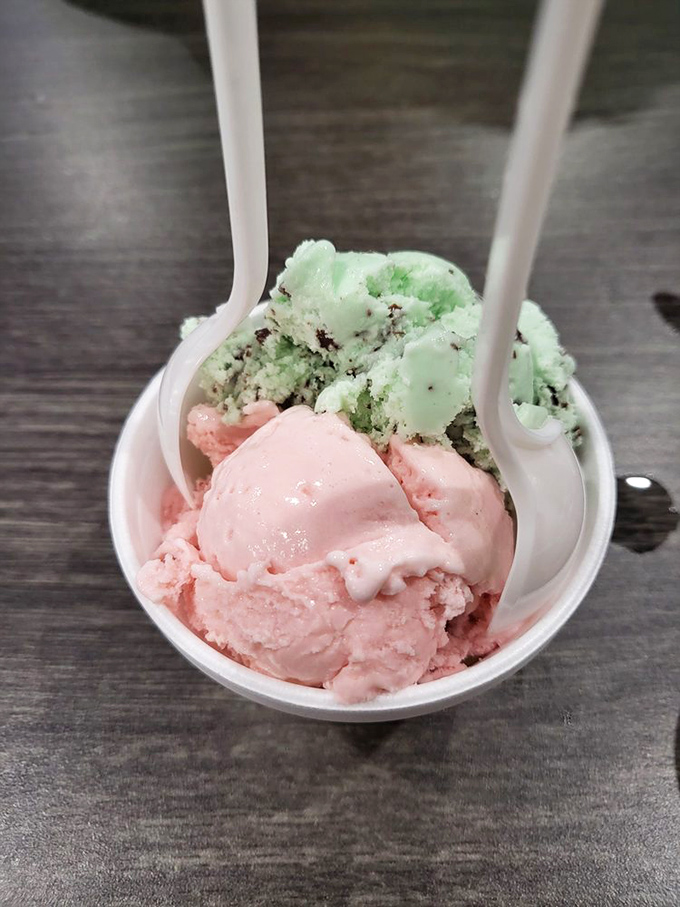 The ice cream finale that makes you question why you filled up on everything else. That mint-strawberry combo is the encore your taste buds didn't know they needed. 