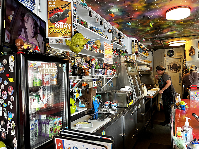The kitchen might be compact, but like the TARDIS, it somehow produces an universe of flavors while surrounded by watchful sci-fi guardians.