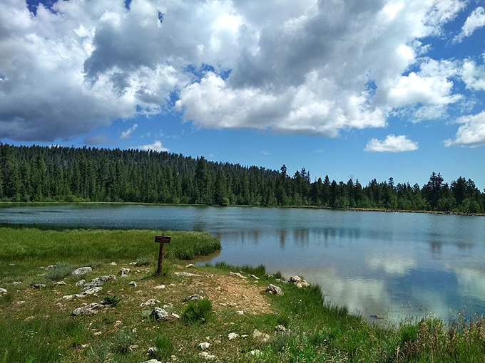 Panguitch Lake reflects the sky like a mirror, reminding you why the Paiute named this area "big fish"&mdash;though the real catch is the surrounding beauty.