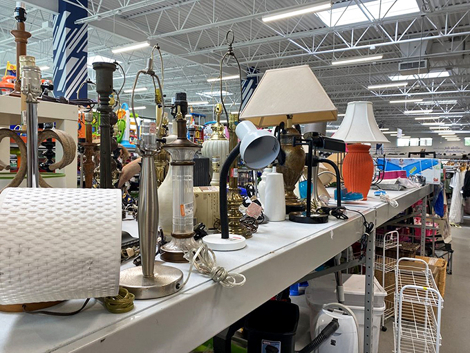 Lamp lovers, rejoice! This illuminating collection offers everything from mid-century modern to contemporary styles for every corner of your home.