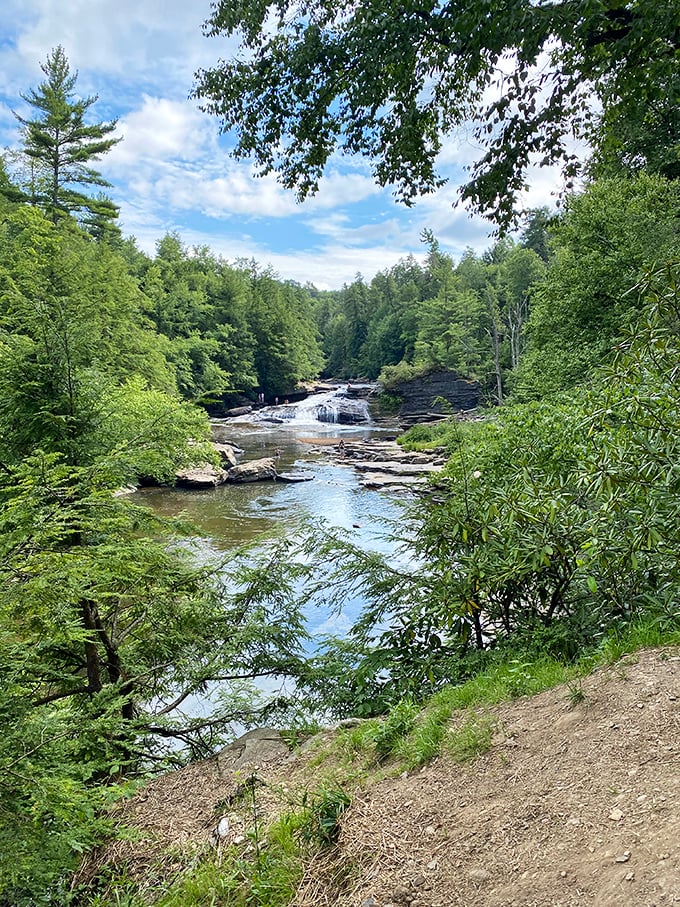 Spring brings an emerald explosion around the falls, where every shade of green seems to compete for your attention and approval.