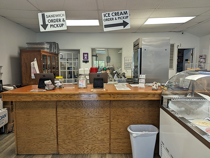 The counter where dreams are scooped, served, and sometimes taken home by the pint for late-night rendezvous.