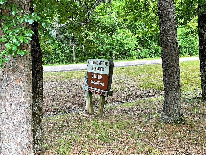 First-timers might miss this modest marker, but locals know it signals the gateway to natural splendor in the Ouachita National Forest.