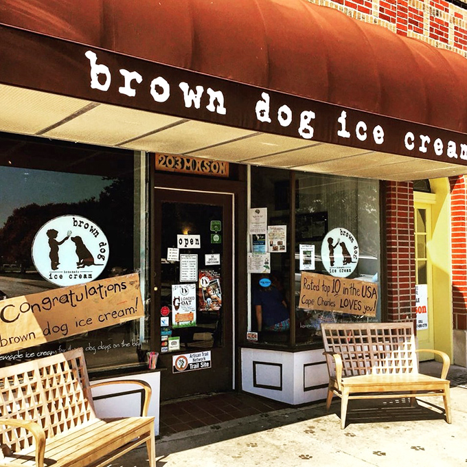 The storefront benches offer prime real estate for the post-ice cream euphoria that locals call "the Brown Dog glow."