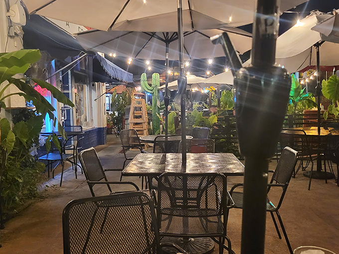 As night falls, the patio transforms into an urban oasis. String lights and lush plants create the perfect backdrop for al fresco feasting.