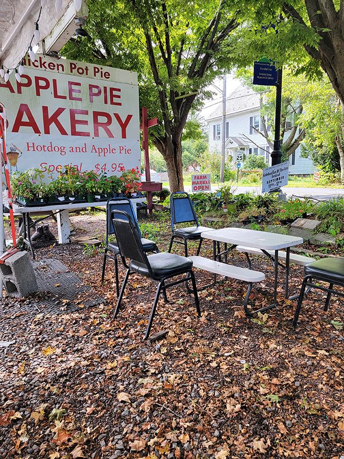 Fall leaves create nature's carpet around simple outdoor seating – because apple pie tastes even better with a side of fresh air.