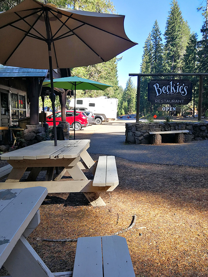 Outdoor picnic tables where pine-scented breezes enhance your meal&mdash;nature's air conditioning with a side of birdsong