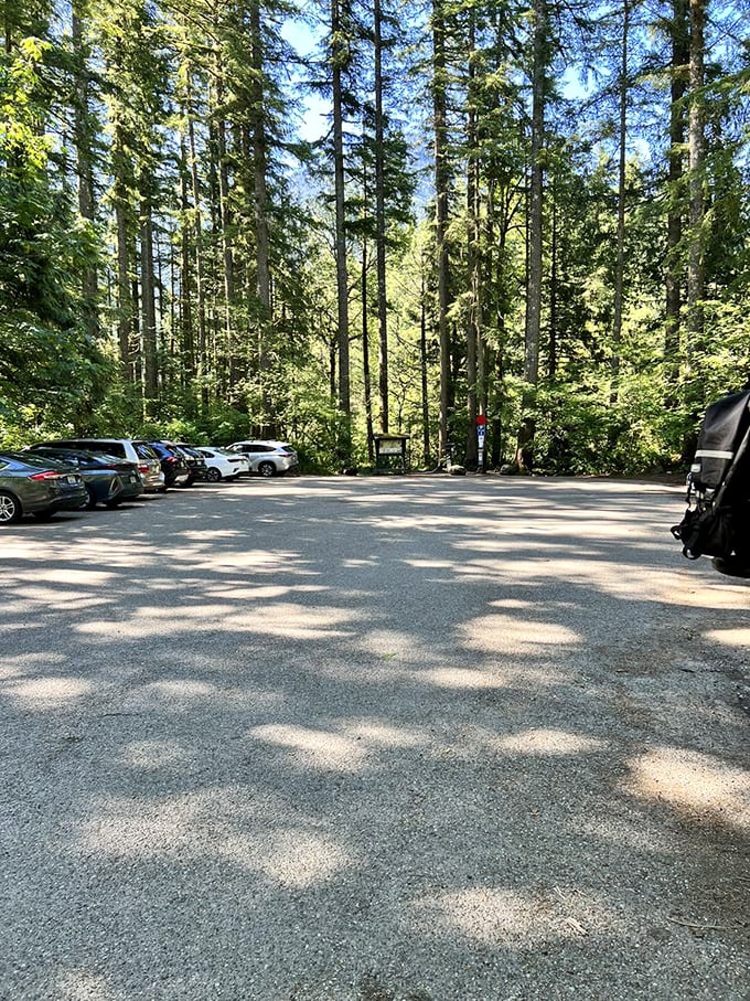 The forest's foyer welcomes visitors with dappled shade and the promise of adventure&mdash;just remember where you parked for the return trip.