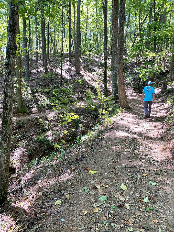 The trails at Red Top beckon hikers with gentle curves and filtered light—nature's version of "come see what's around the corner."