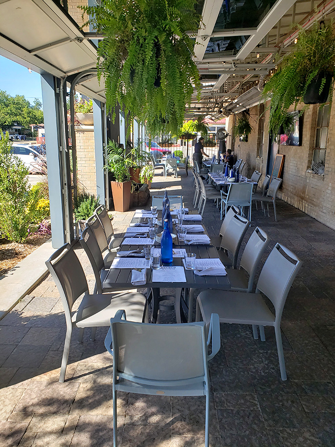 Outdoor dining under cascading greenery &ndash; where fresh air and fresh seafood create the perfect escape from everyday Oklahoma life.