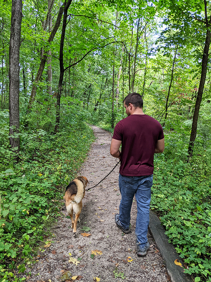Man's best friend leads the way down a shaded trail. Dogs understand the joy of exploration better than anyone&mdash;they just can't work the camera. 