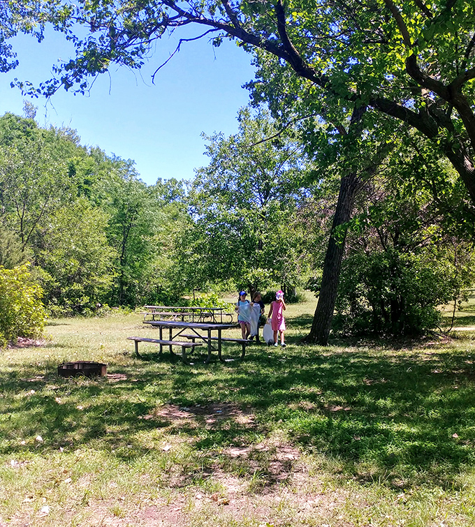 Nature's dining room: This shaded picnic area invites families to enjoy meals with a side of birdsong and gentle Kansas breezes.