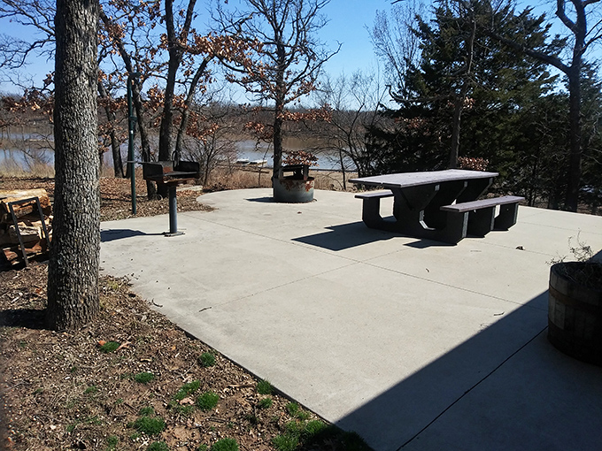 The unofficial boardroom of family decisions. More summer vacation plans have been hatched at these concrete picnic tables than in any travel agency.