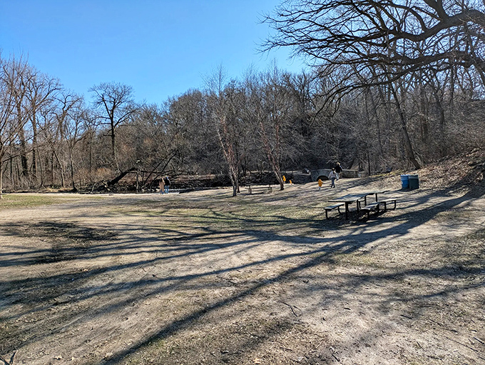 Winter's quiet transformation turns familiar grounds into a snow globe scene. Just add hot chocolate and philosophical musings.
