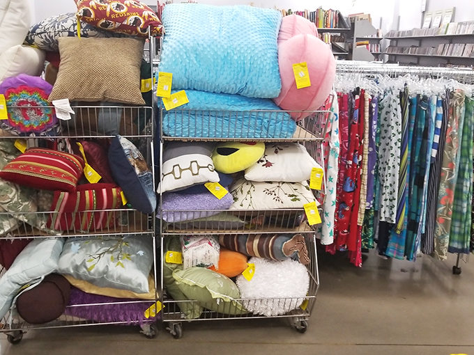 Pillow paradise offers comfort in every color. These cushions once adorned someone else's couch and now stand ready to brighten your living room.