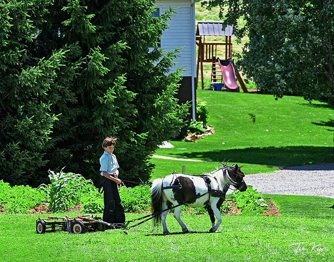Childhood transportation, Amish-style. This young entrepreneur is learning life skills no video game or app will ever teach.
