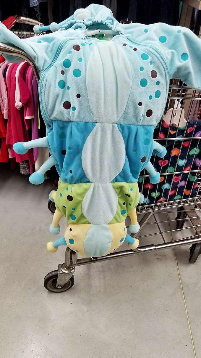 Not just a costume&mdash;a conversation piece! This caterpillar creation is someone's future Halloween glory or a theater production's secret weapon.