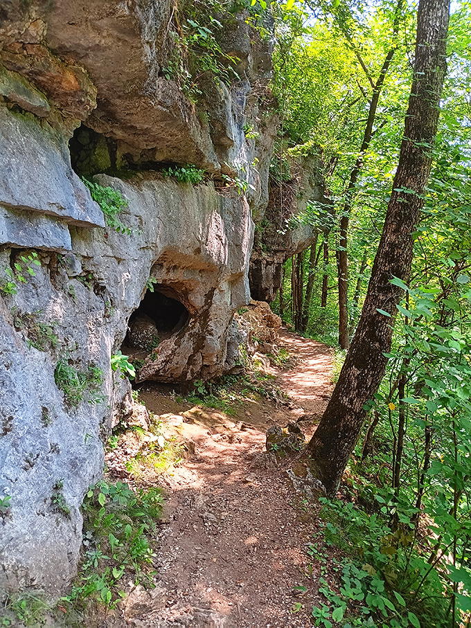 Ancient limestone formations create natural corridors that whisper geological secrets older than any history book in your school library.