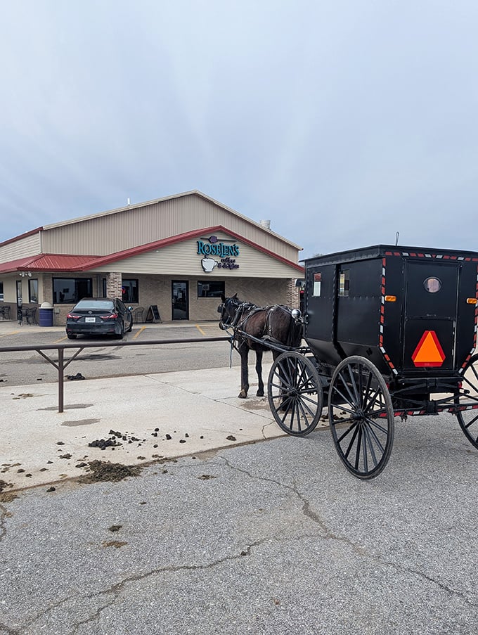 The horse knows the way&mdash;Amish transportation patiently waiting outside a modern coffee shop creates the perfect portrait of Arthur's gentle cultural blend.