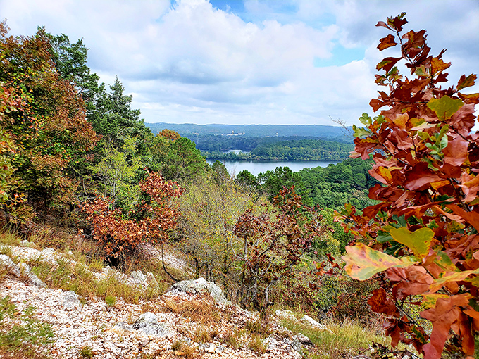 Fall foliage that makes New England jealous – nature's color palette turned up to eleven.
