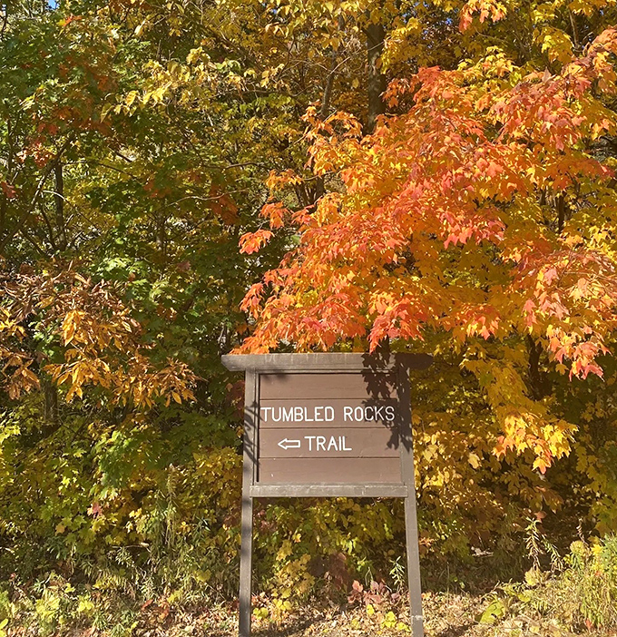 Your invitation to adventure awaits. This unassuming sign marks the entrance to one of Wisconsin's most spectacular natural experiences.