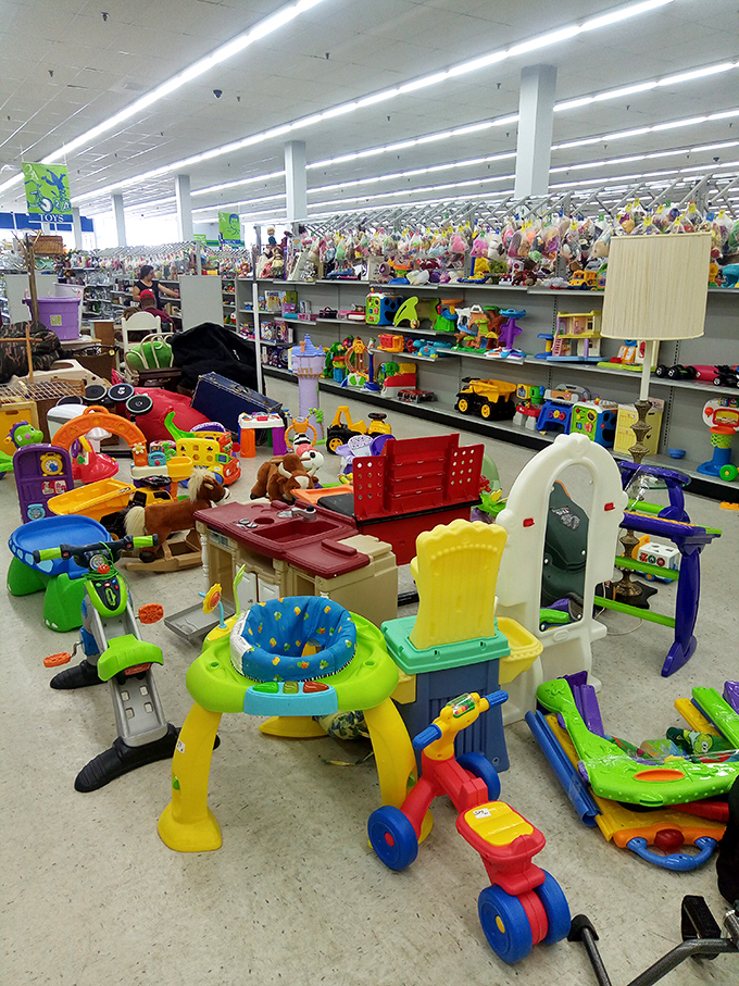 Childhood joy at bargain prices—this toy section transforms parents into heroes who "just happened to find" that perfect plaything their little one mentioned.
