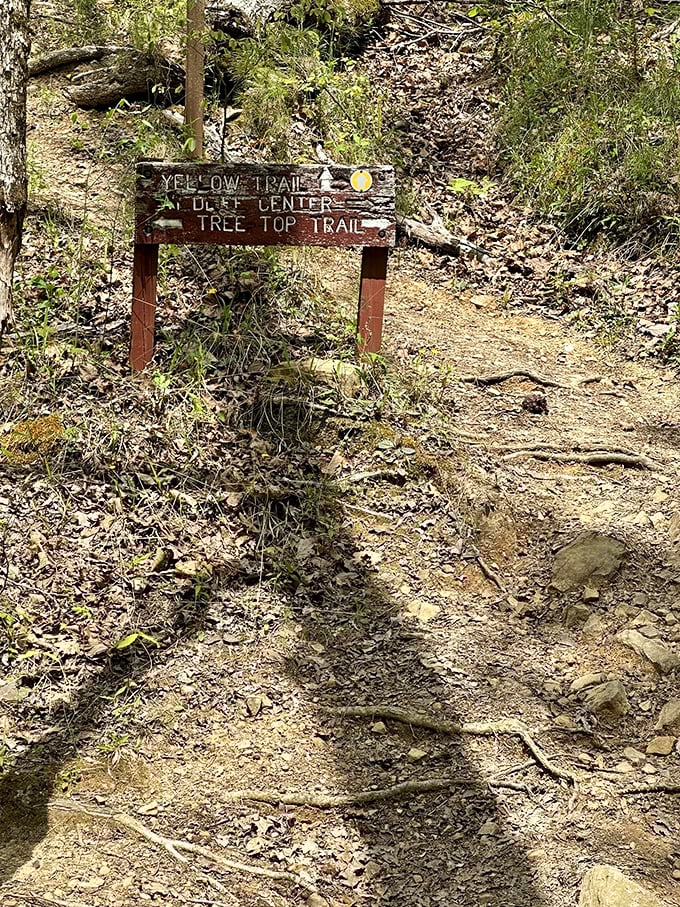 Trail markers: nature's GPS system for those of us who still get lost in shopping mall parking lots.
