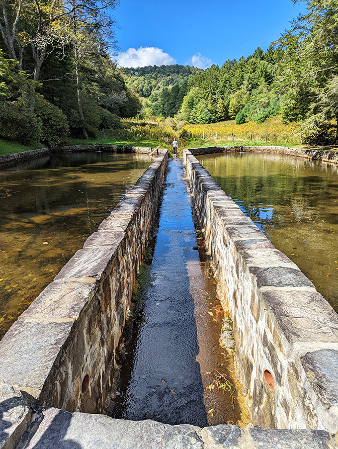 Where water meets stone in a dance as old as the mountains themselves.