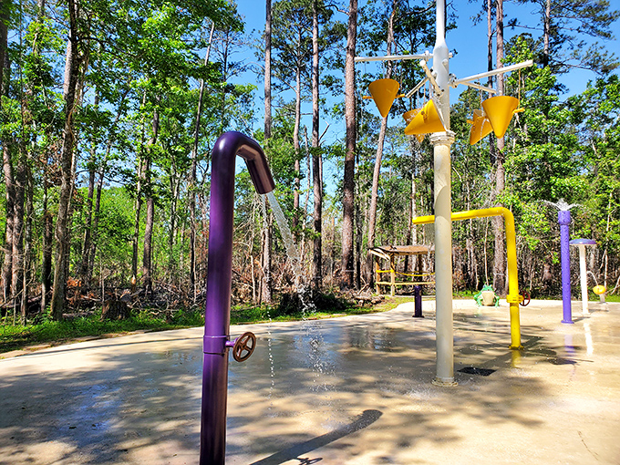 Even wilderness playgrounds need splash zones, where kids can experience the joy of getting soaked without the surprise of meeting a water moccasin.