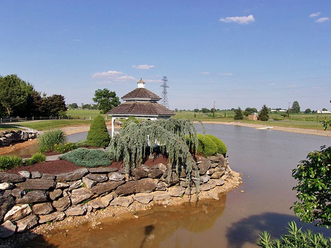 "Fresh rhubarb pies" isn't just a sign &ndash; it's a siren call to anyone with functioning taste buds and a weakness for flaky crusts. 