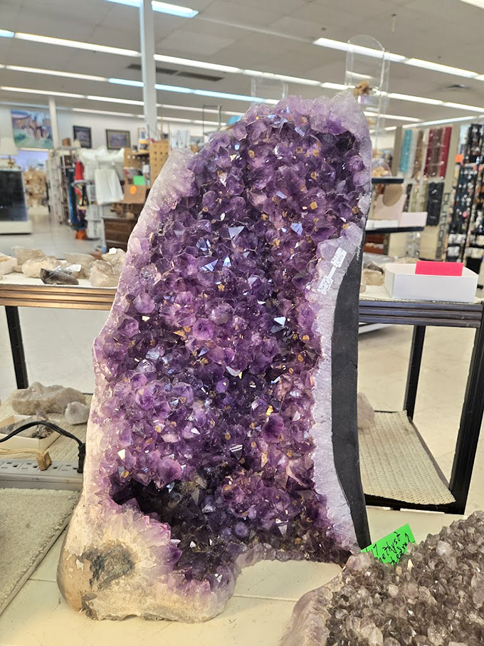 A magnificent amethyst cathedral stands like a purple crystal skyscraper, catching light in ways that make its $749 price tag suddenly seem reasonable.
