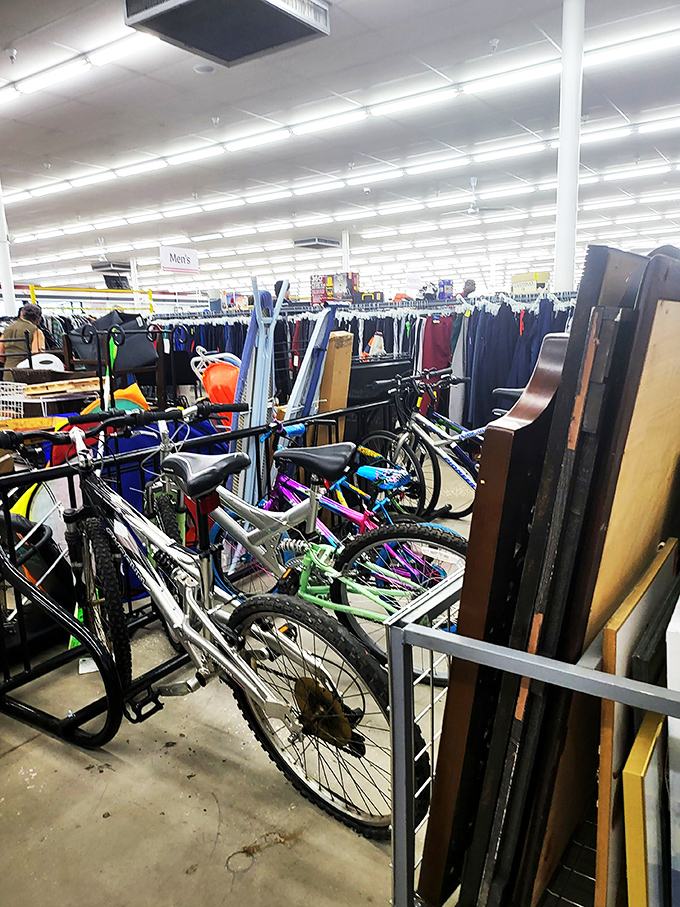 Bicycles and bed frames&mdash;the odd couple of the thrift world. That Schwinn might have more miles left in it than your car.
